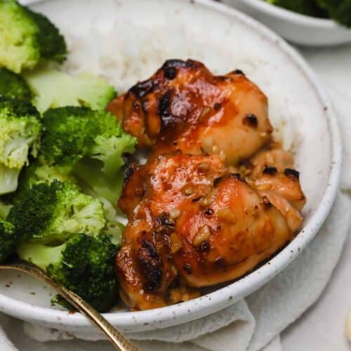 Main Course - Complete Collection of Main Entree Recipes