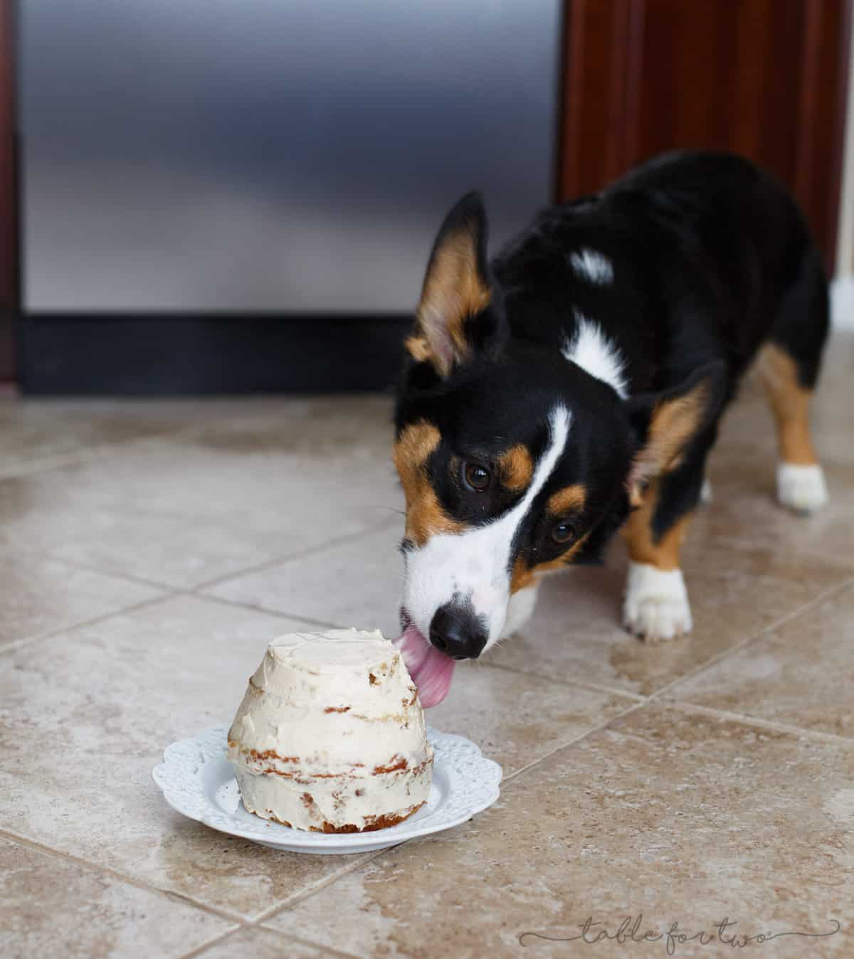 Grain-Free Dog Birthday Cake (Happy 1st Birthday, Winston!) | Table for ...