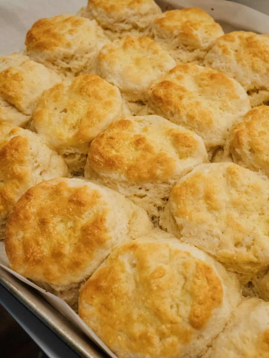 The Most Fluffy and Buttery Biscuits Ever - Easy Buttery, Tender Biscuits