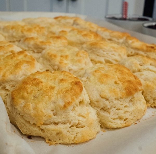The Most Fluffy and Buttery Biscuits Ever - Easy Buttery, Tender Biscuits