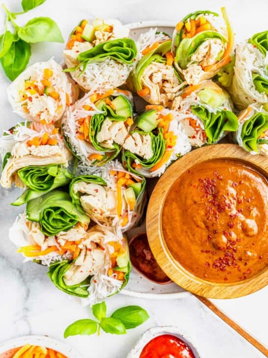 Main Entrees - Complete Collection of Main Entree Recipes