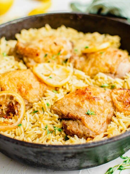 Main Entrees - Complete Collection of Main Entree Recipes