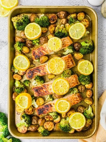 Main Entrees - Complete Collection of Main Entree Recipes