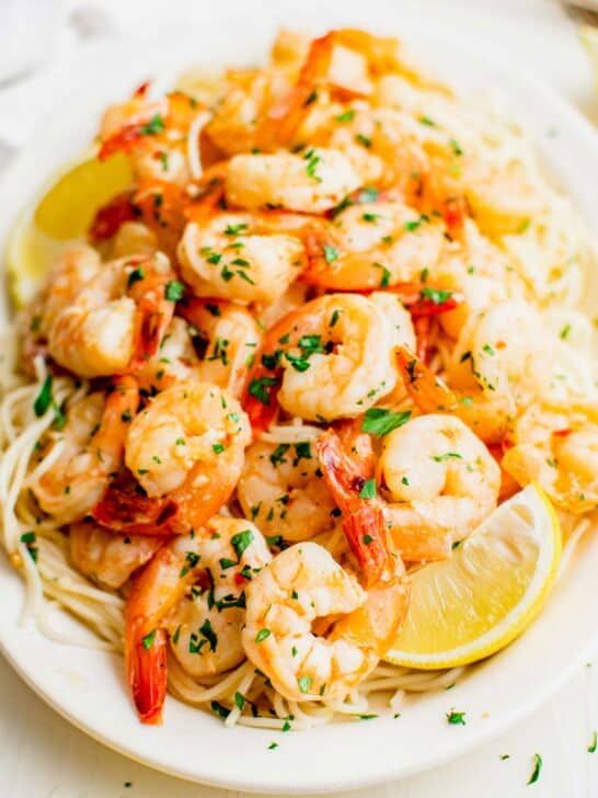 Main Entrees - Complete Collection of Main Entree Recipes