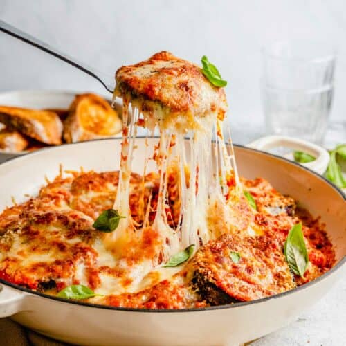 Main Course - Complete Collection of Main Entree Recipes