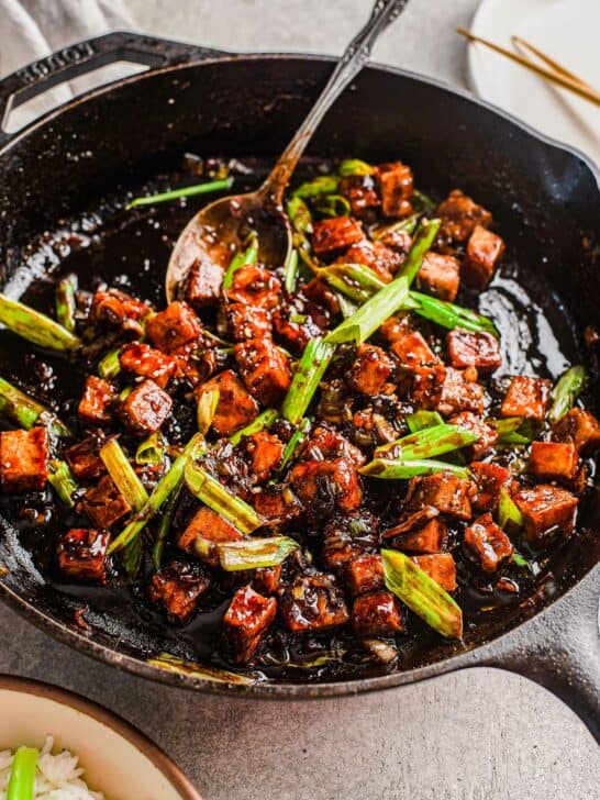 Main Entrees - Complete Collection of Main Entree Recipes